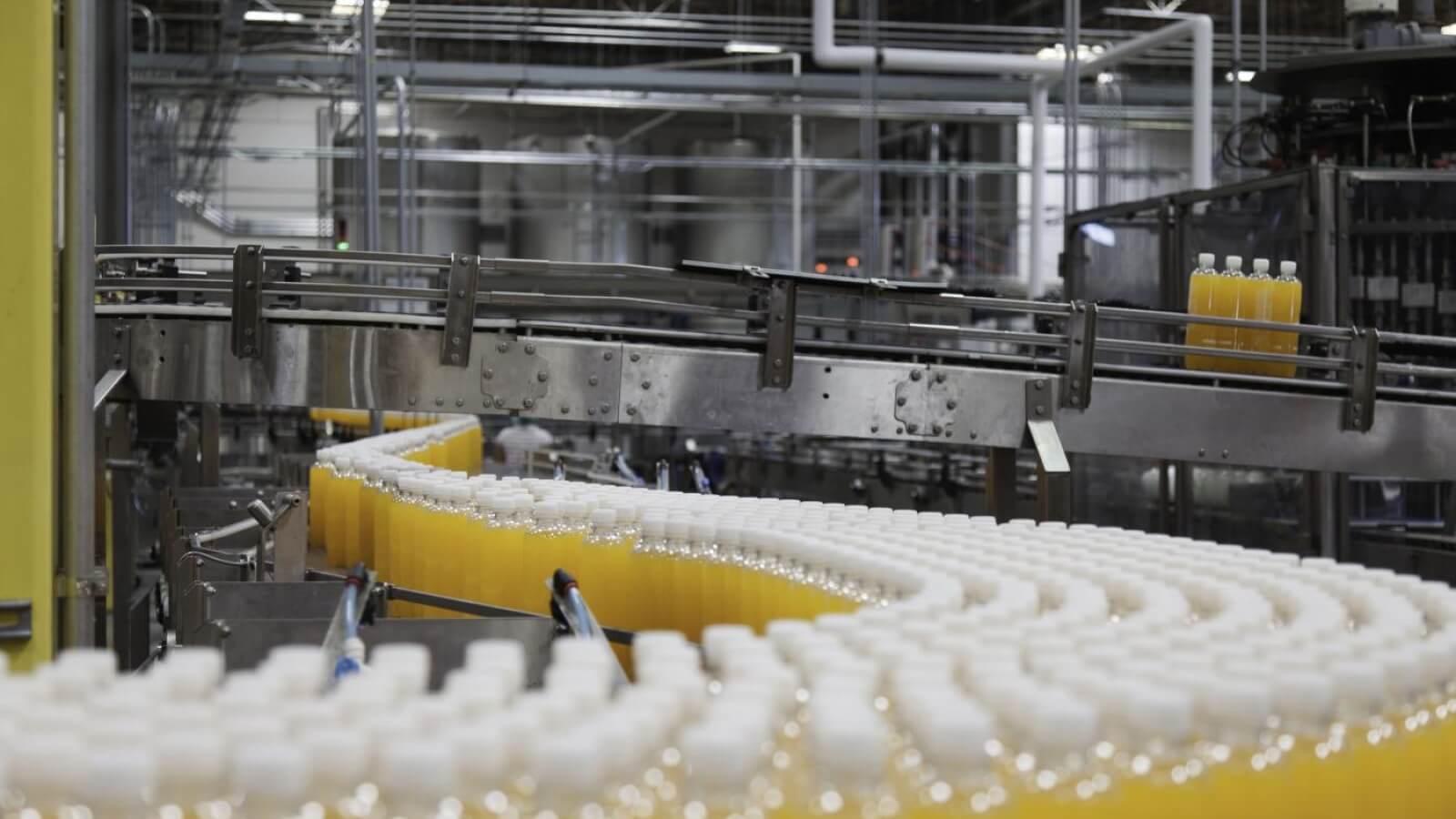 The 5 Stages of Launching a Beverage Brand (And How Drink Labs Helps at ...